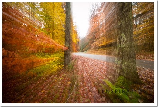 The Amazing Zoom Effect . . . and How to Create It! - Lenspiration