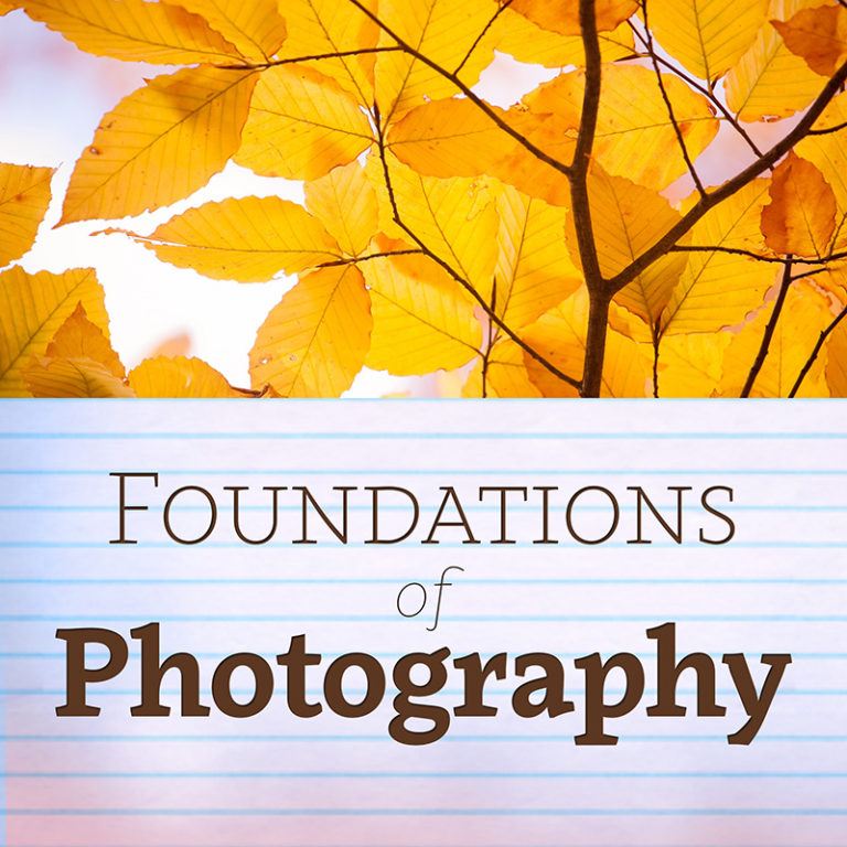 Foundations of Photography Course - Lenspiration