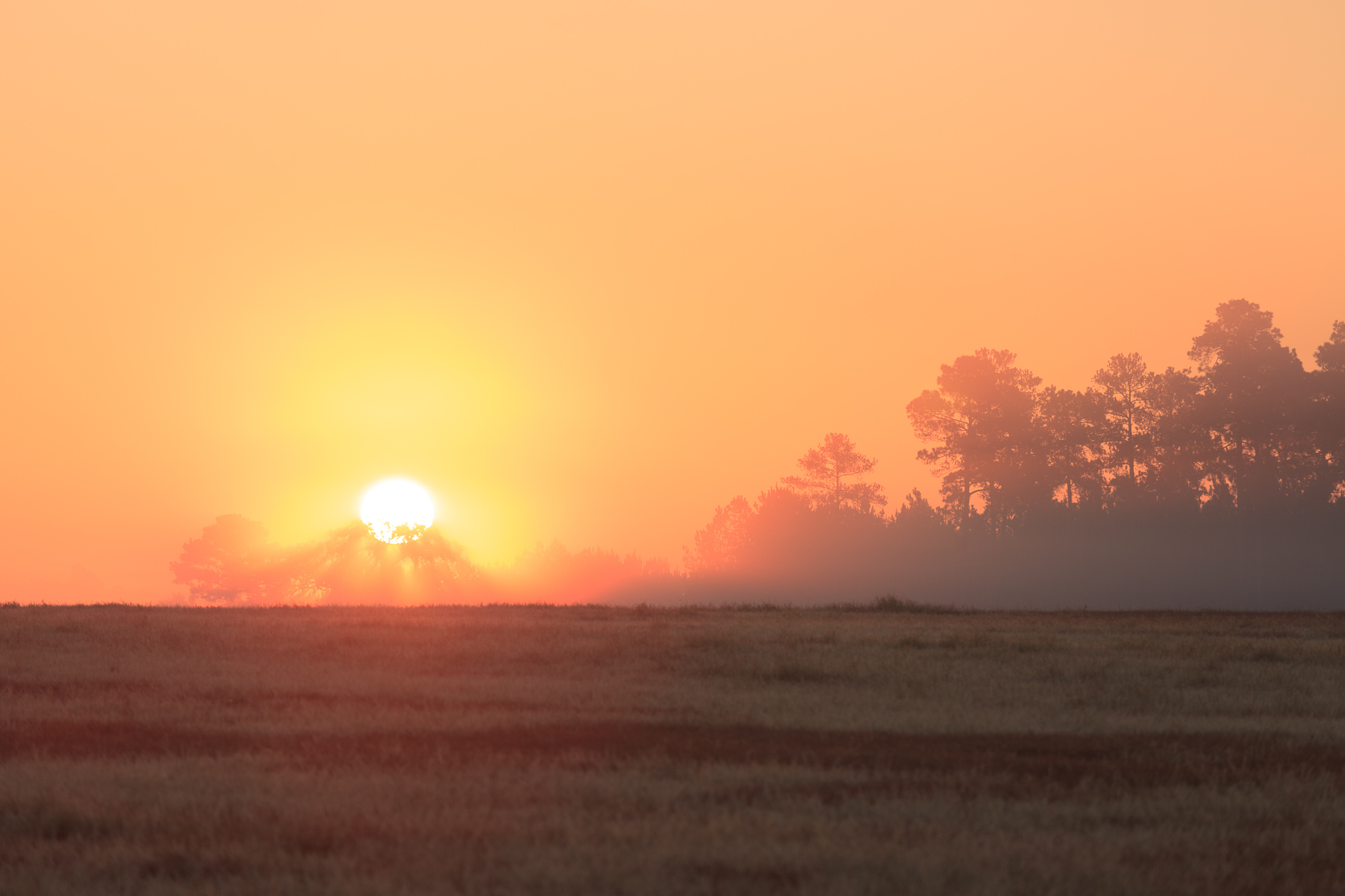 Ideas for Better Sunset Photos - Lenspiration