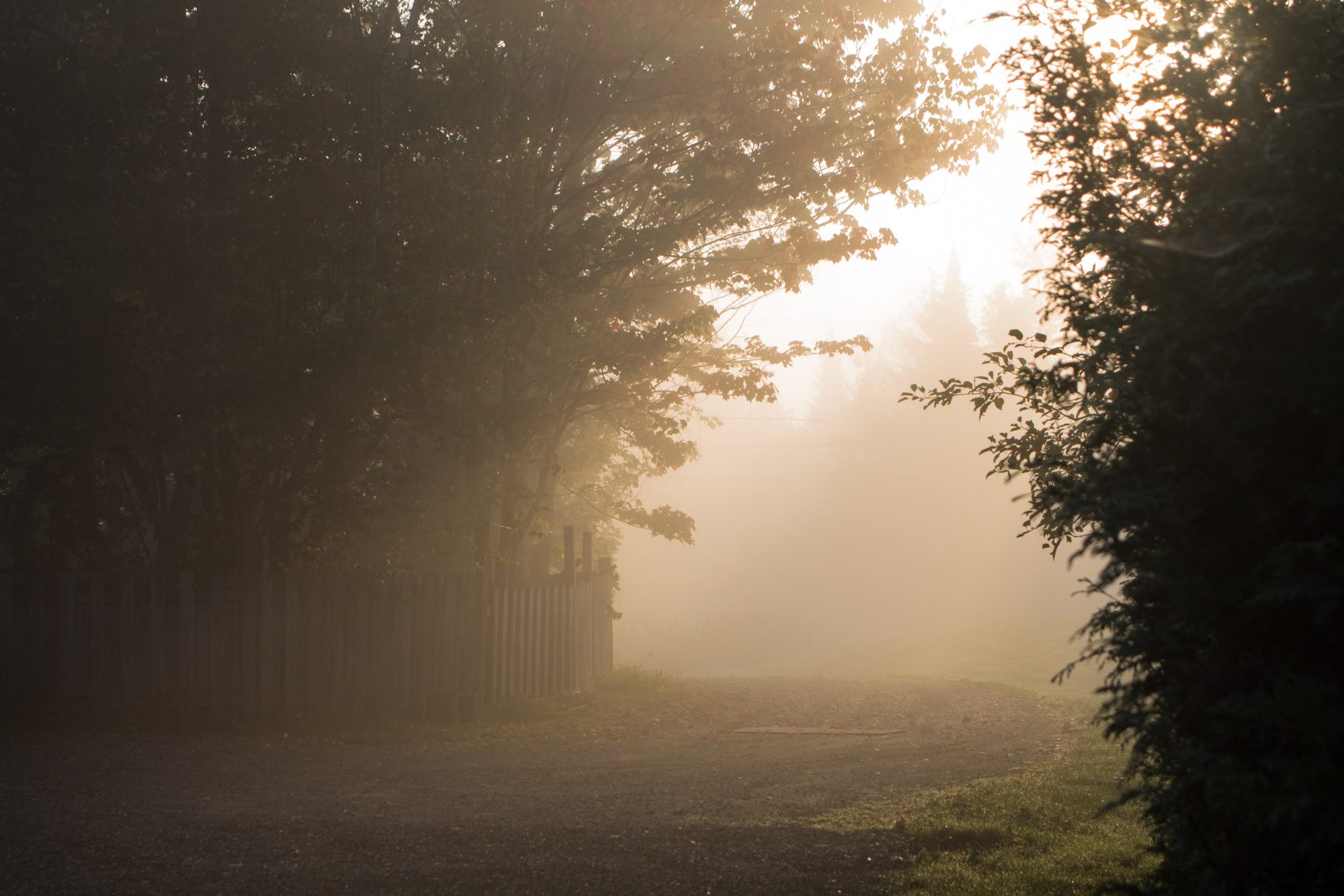 Foggy Sunday Morning - Lenspiration