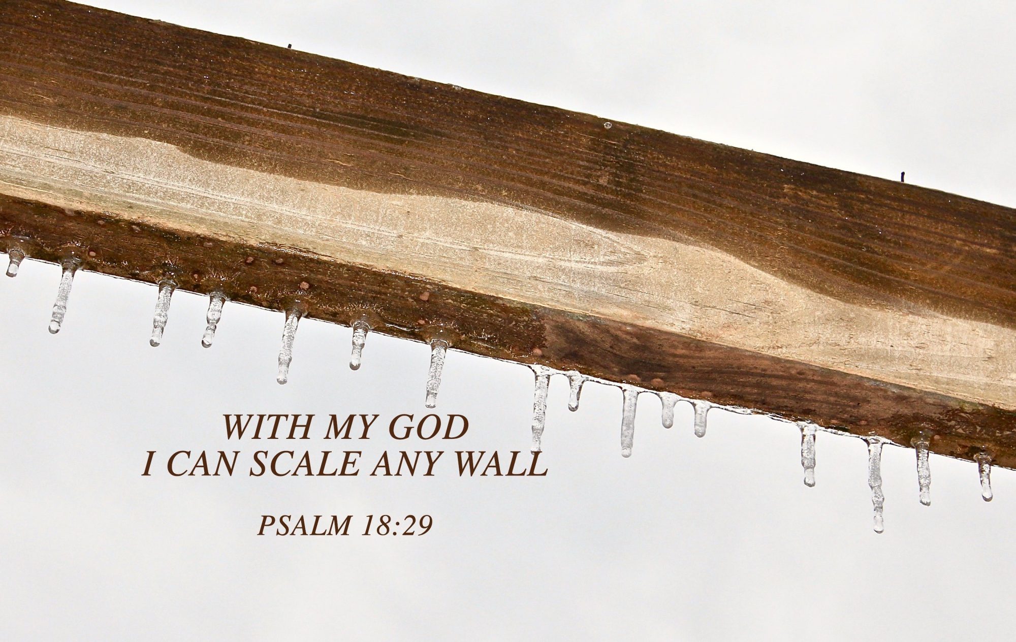 Photo With Bible Verse - Lenspiration