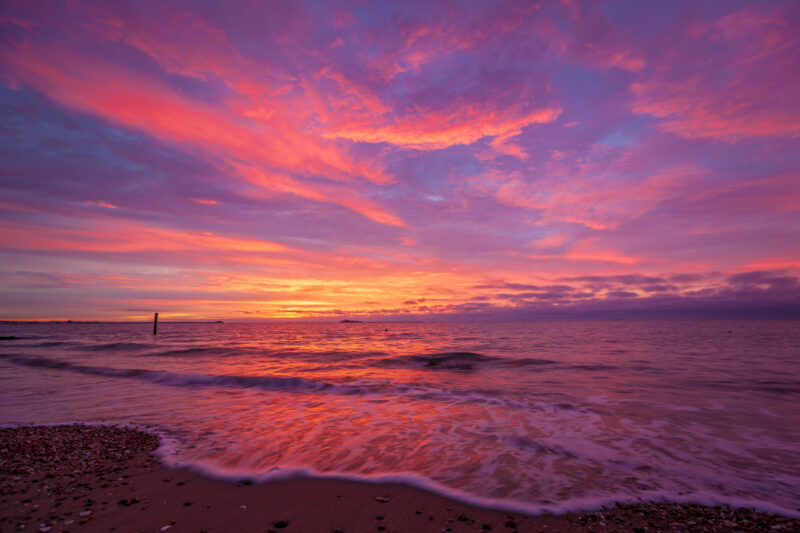 Southeast Georgia Field Day - Lenspiration