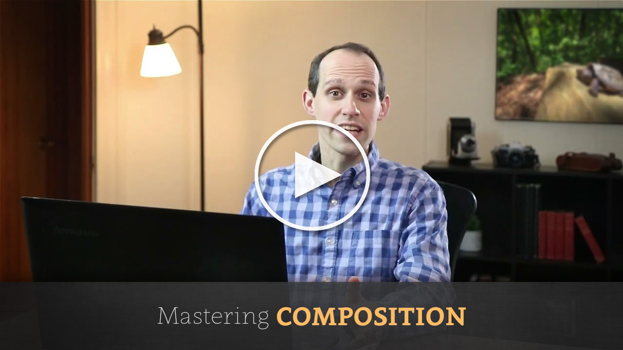 Forced Perspective - Lenspiration