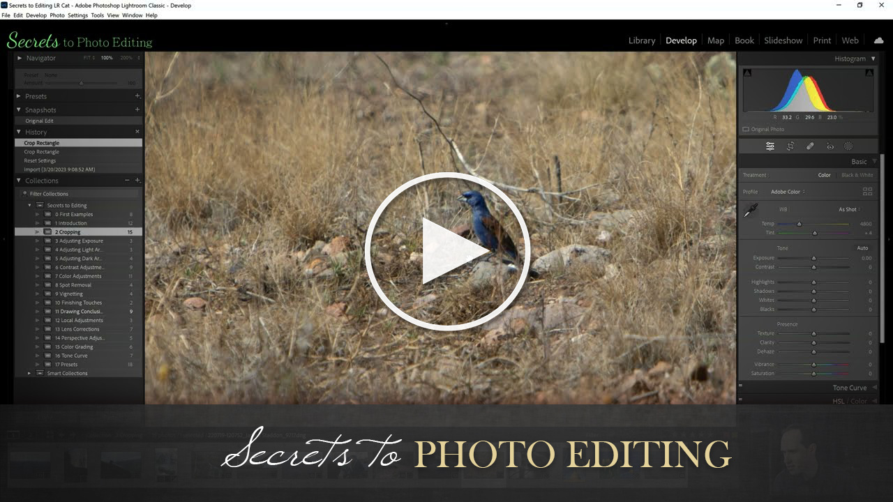 Cropping - Lenspiration