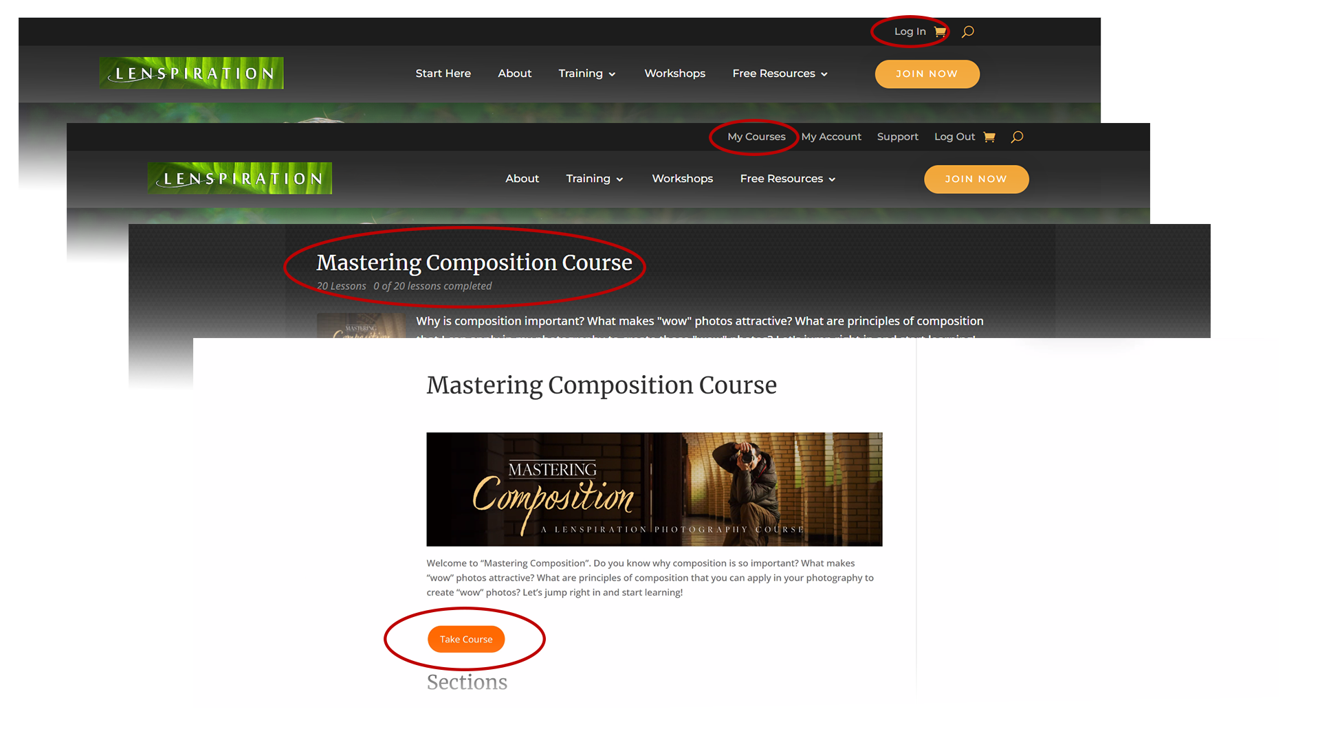 Composition Course - Lenspiration