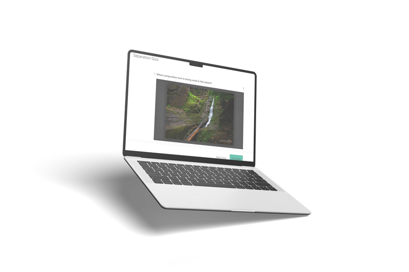 Composition Course - Lenspiration