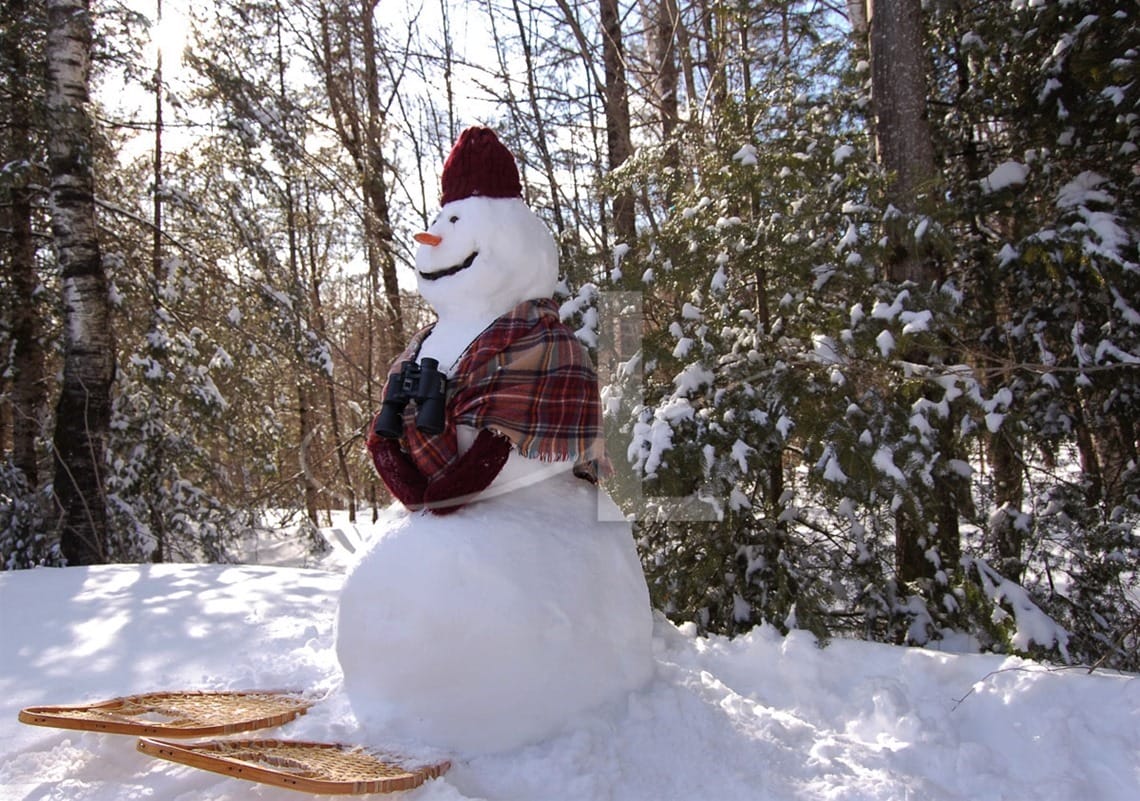 Looking Back Over 2023 - Lenspiration