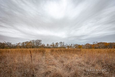 Is A Bug's-Eye View The Ideal Perspective In Photography? - Lenspiration