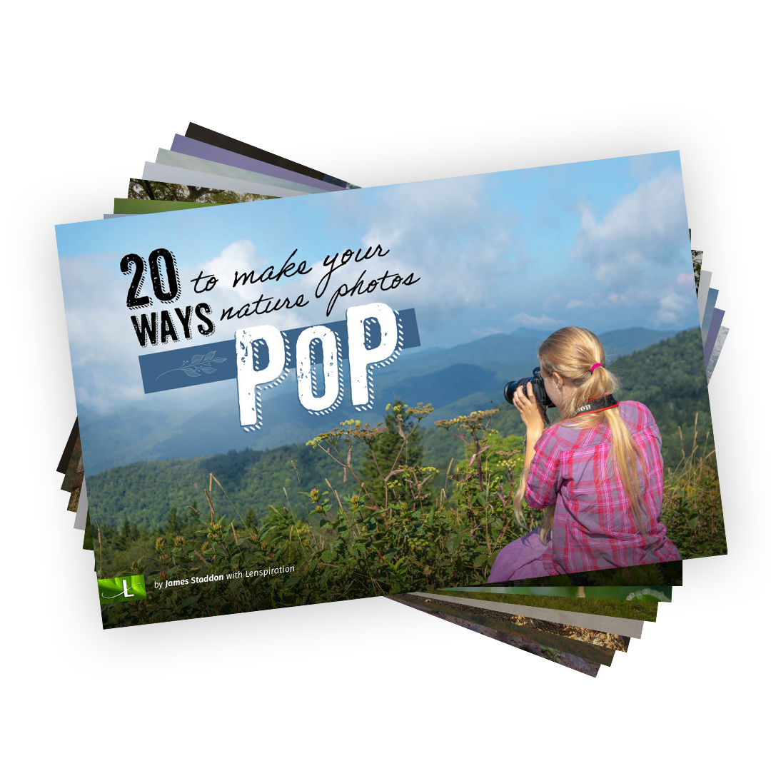 20 Ways to Make Your Nature Photos Pop - Lenspiration
